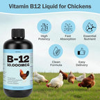 Vegan-friendly Vitamin B12 source