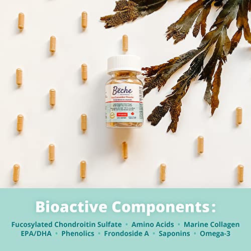 vegan-friendly vitamin capsules