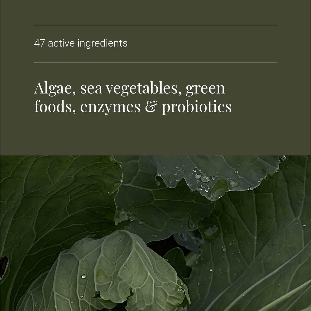 vegan-friendly vitamin supplements
