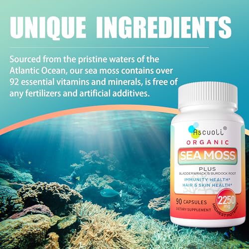 vegan-friendly vitamins for holistic health