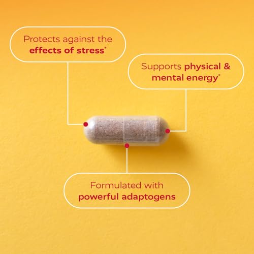 vegan-friendly vitamins for sustained energy