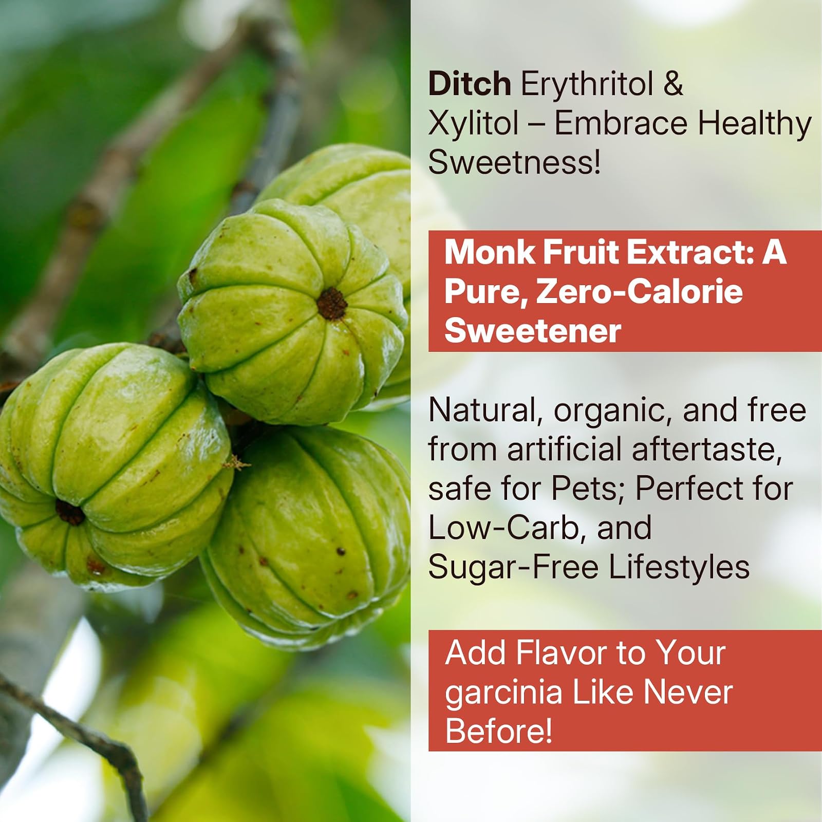vegan friendly weight loss gummies