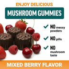 Vegan fruiting body mushroom supplements