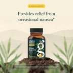 vegan ginger capsules for digestion