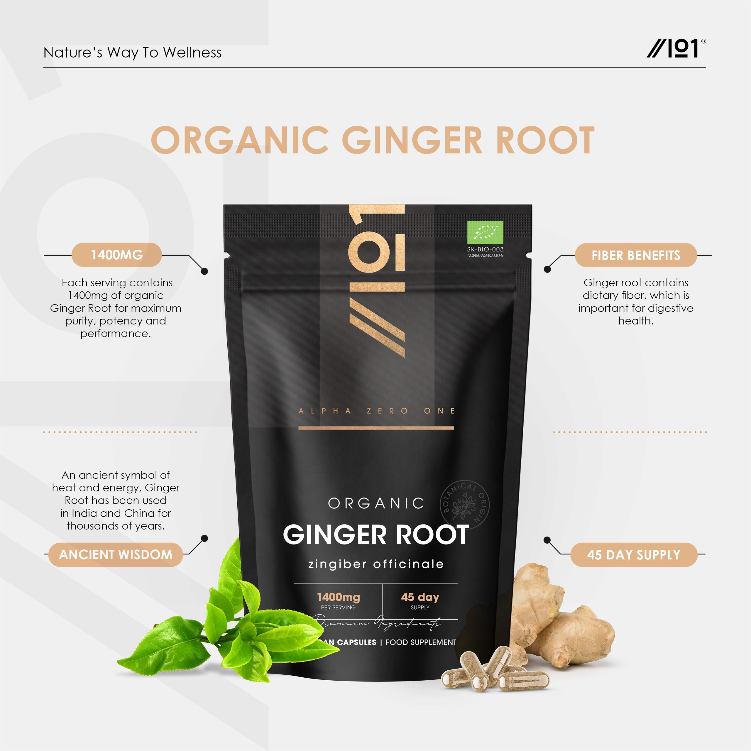 vegan ginger capsules for digestion