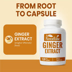Vegan ginger capsules for wellness