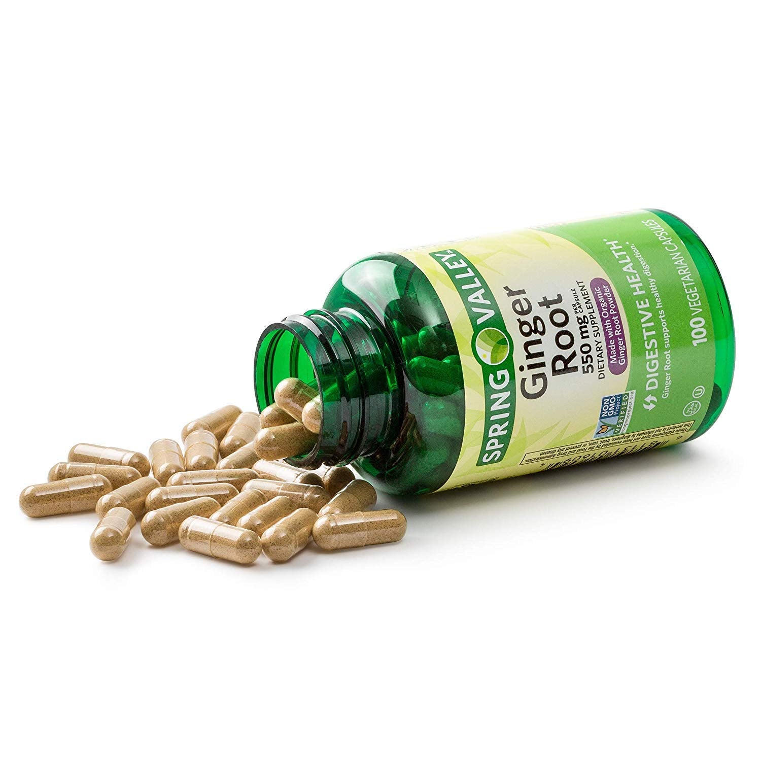 vegan ginger health benefits