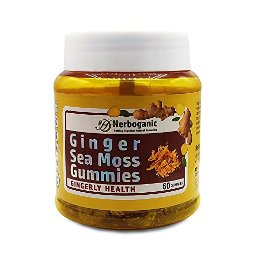 vegan ginger health supplements