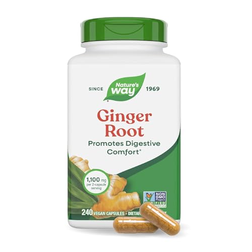 vegan ginger supplement for digestion