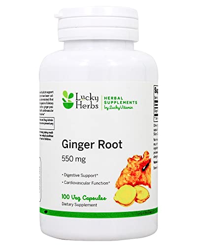vegan ginger supplements for wellness