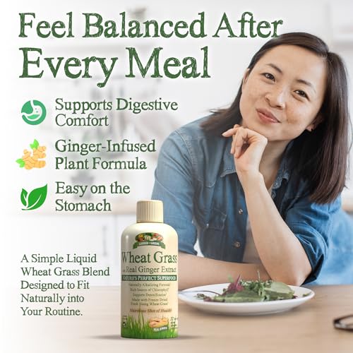vegan ginger wellness solution