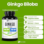 Vegan Ginkgo Biloba extract 120 mg
