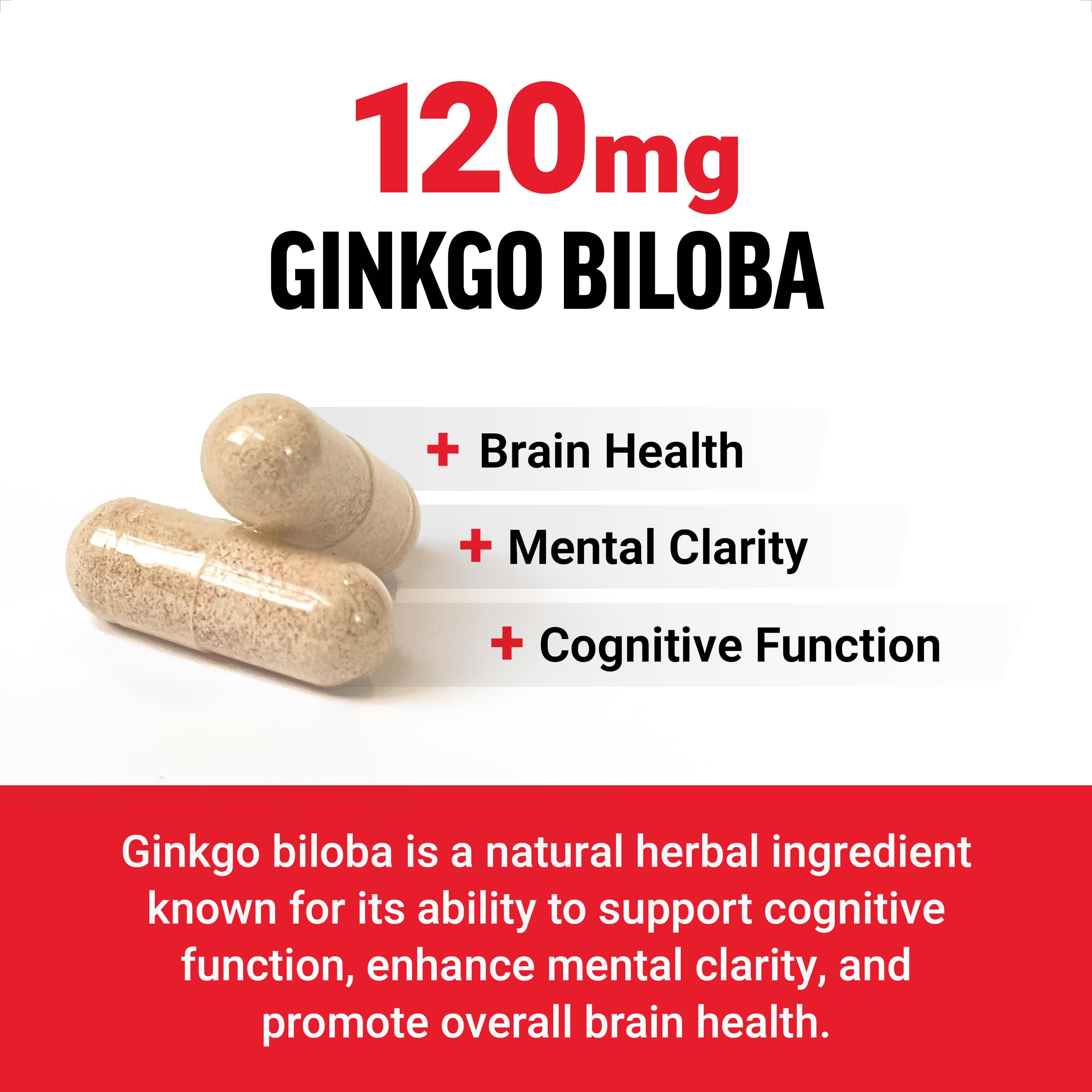 vegan ginkgo biloba for cognitive support