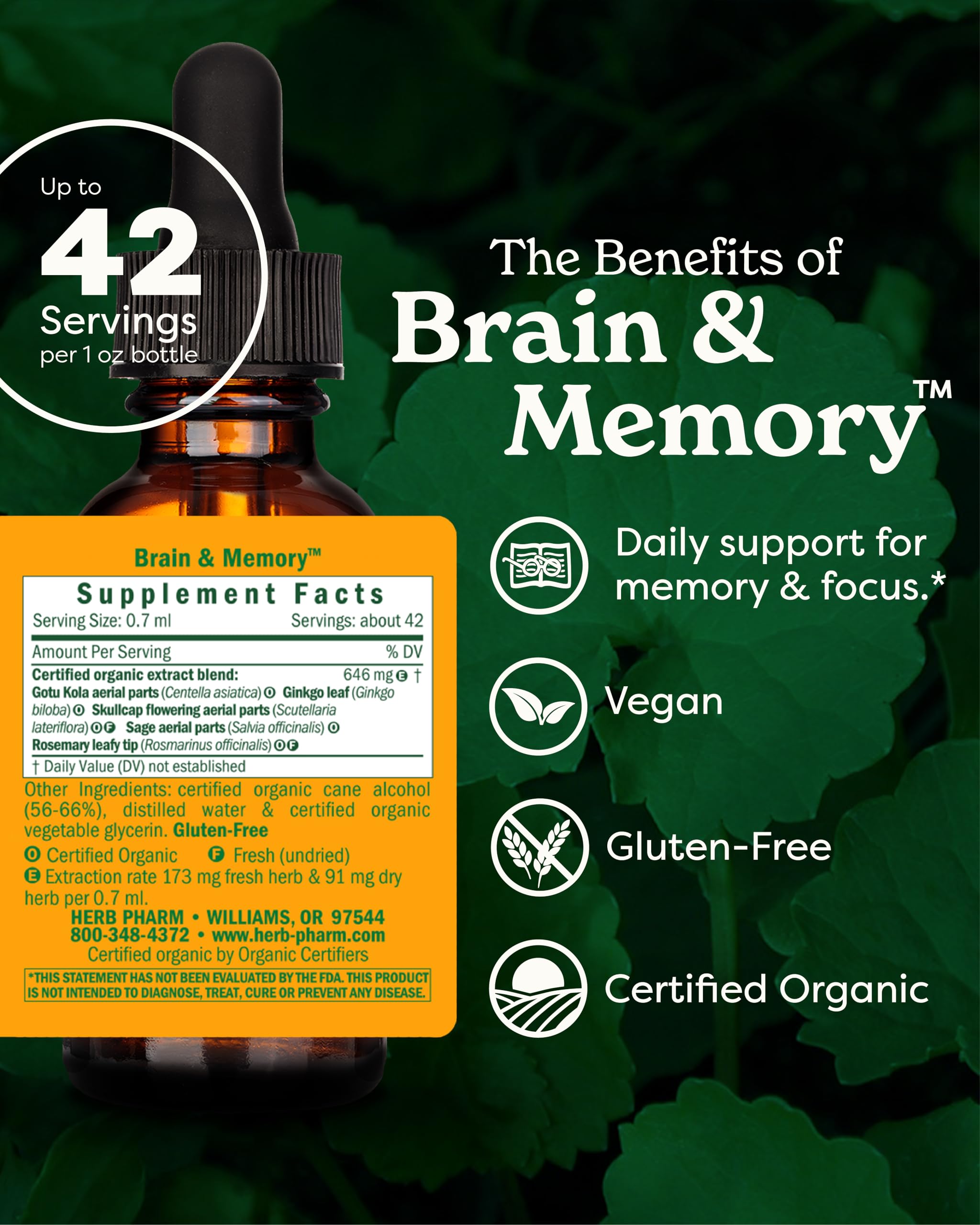 vegan ginkgo biloba health benefits