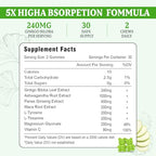 vegan ginkgo biloba supplement benefits