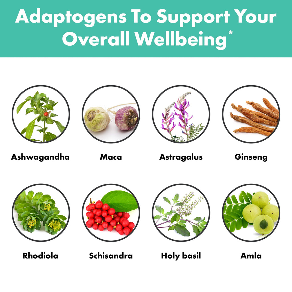 vegan ginseng capsules for holistic health