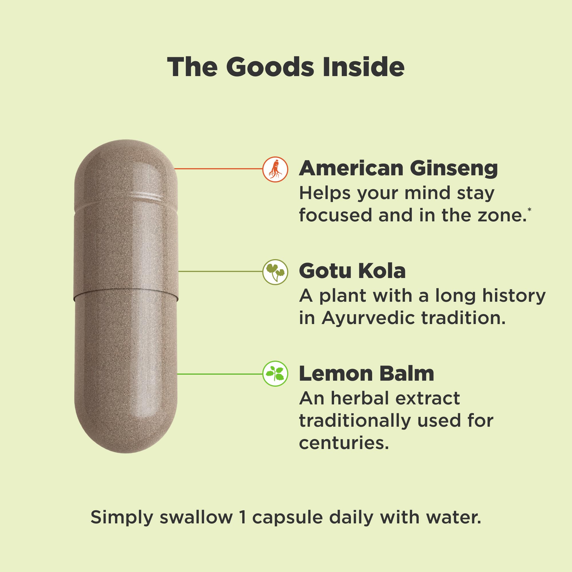 vegan ginseng supplement for focus