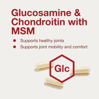 vegan glucosamine chondroitin supplement