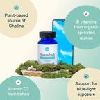 vegan gummy multivitamin alternative