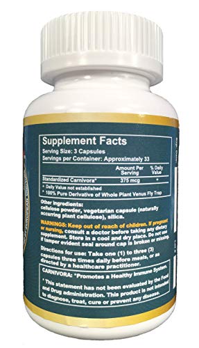 Vegan health supplements for everyone