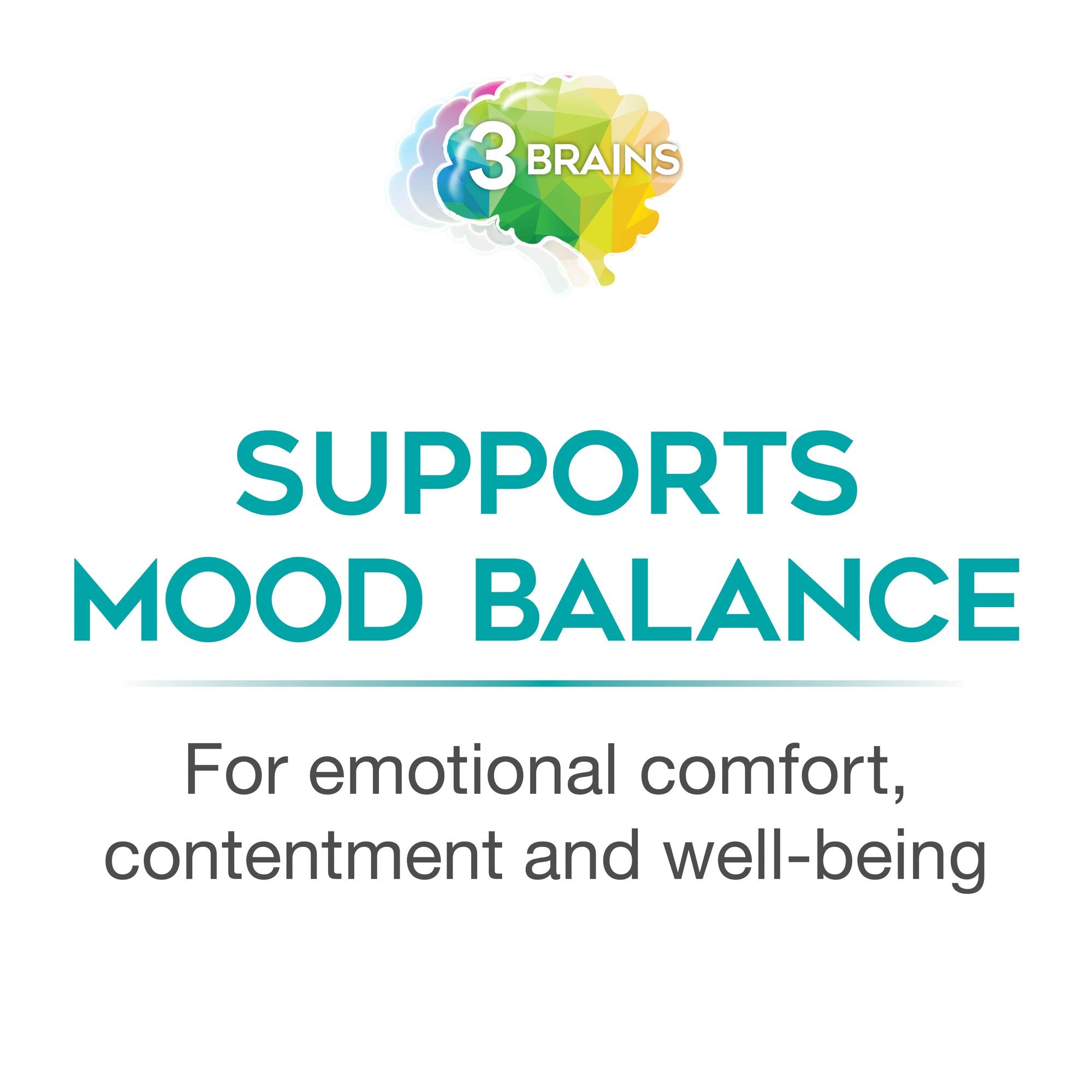 vegan health supplements for mood