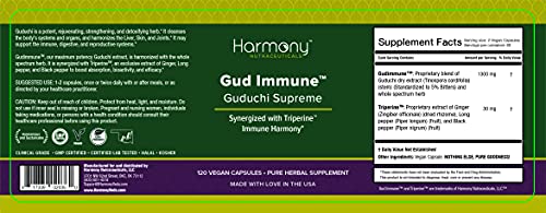 vegan herbal immune booster