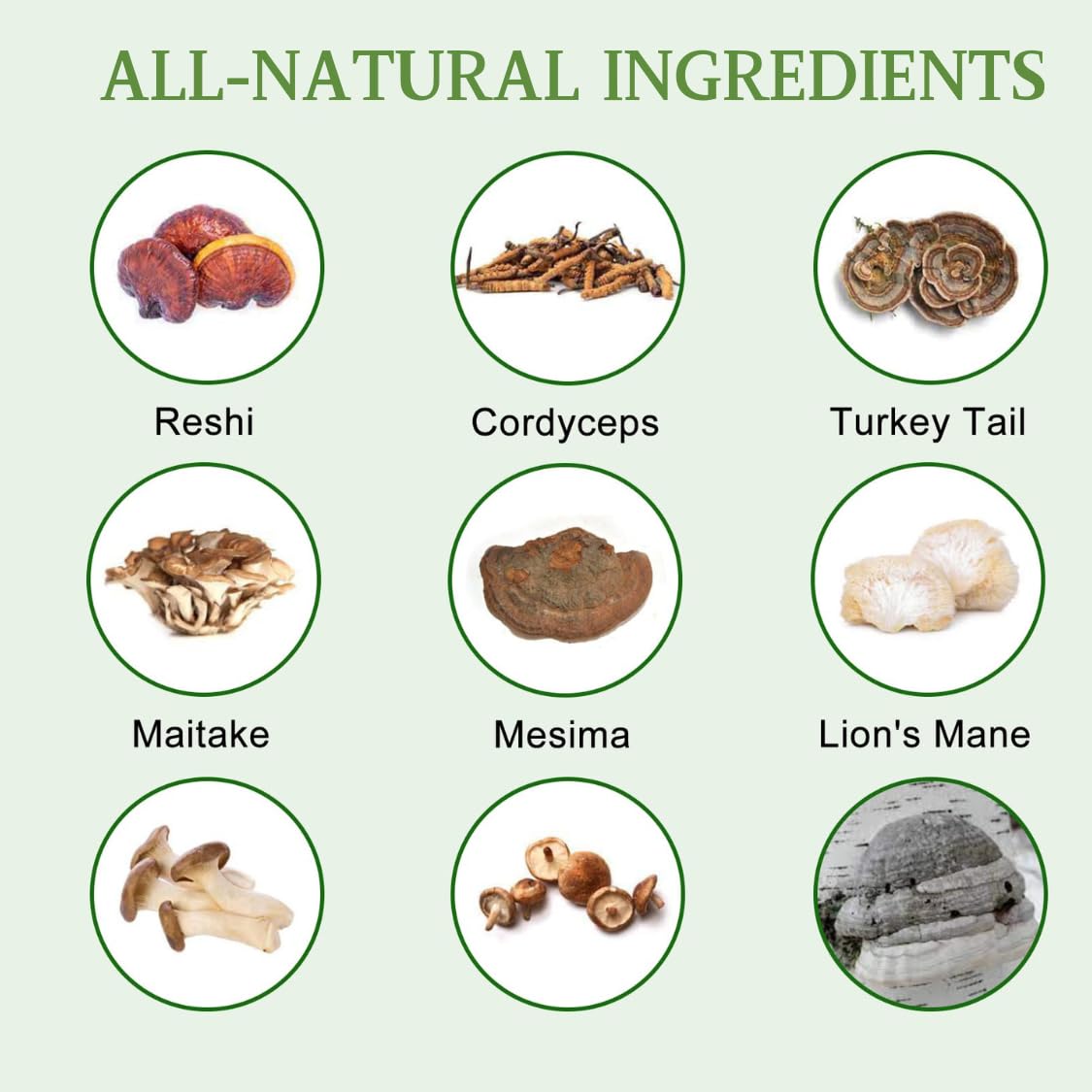 Vegan herbal mushrooms for wellness