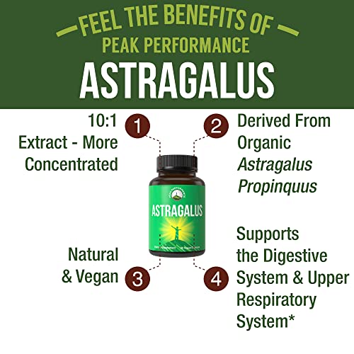 vegan herbal remedy with astragalus