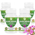 Vegan herbal supplement for wellness