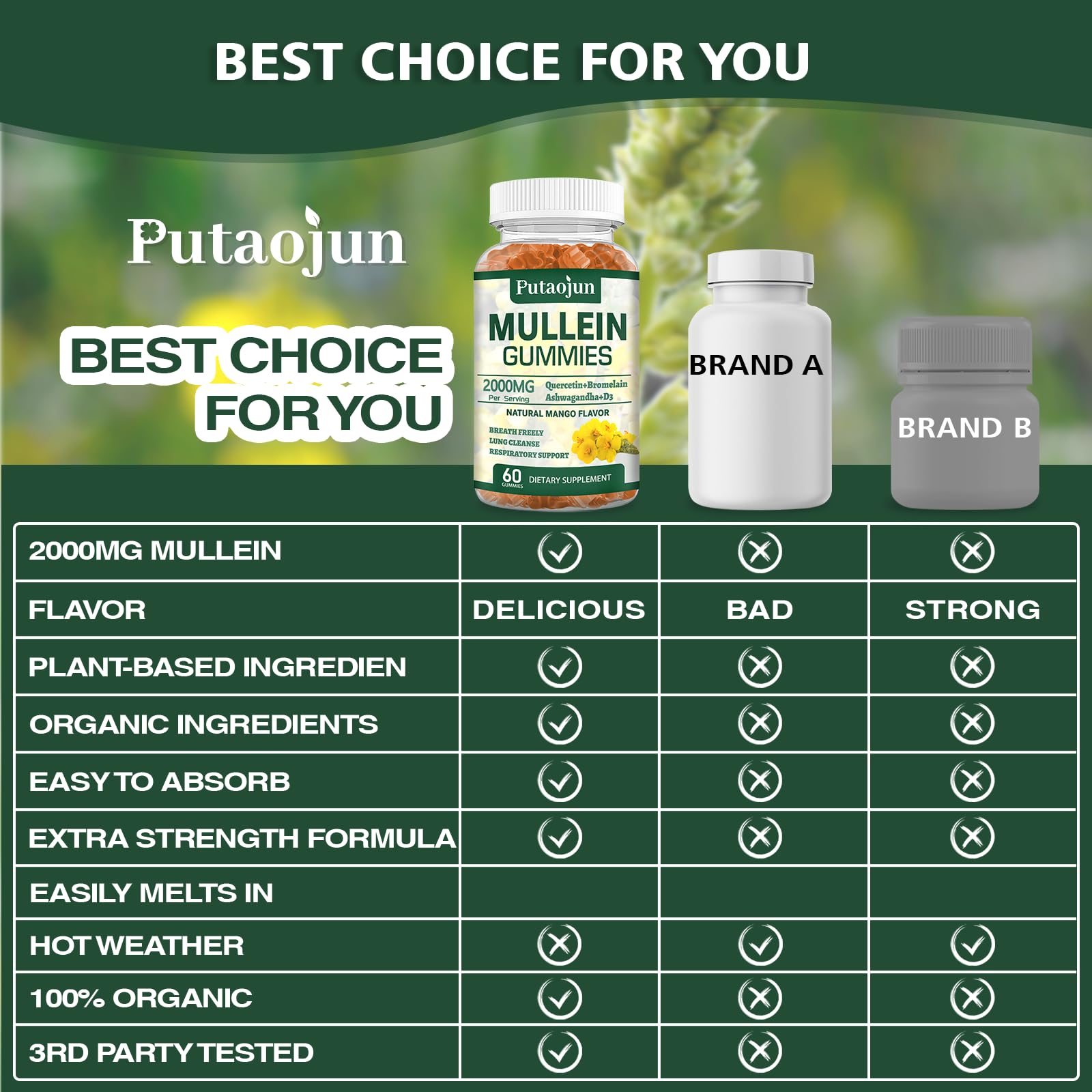 Vegan herbal supplements for lung health