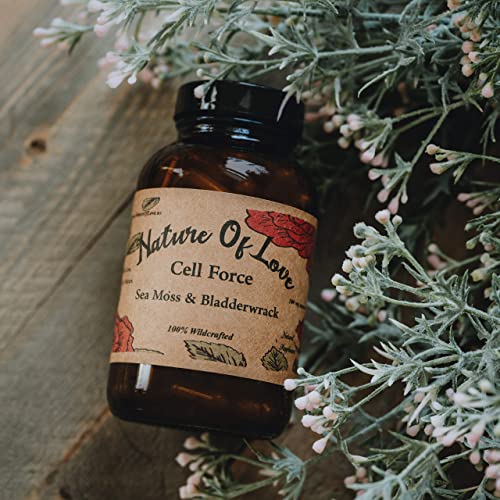 vegan herbal supplements for wellness