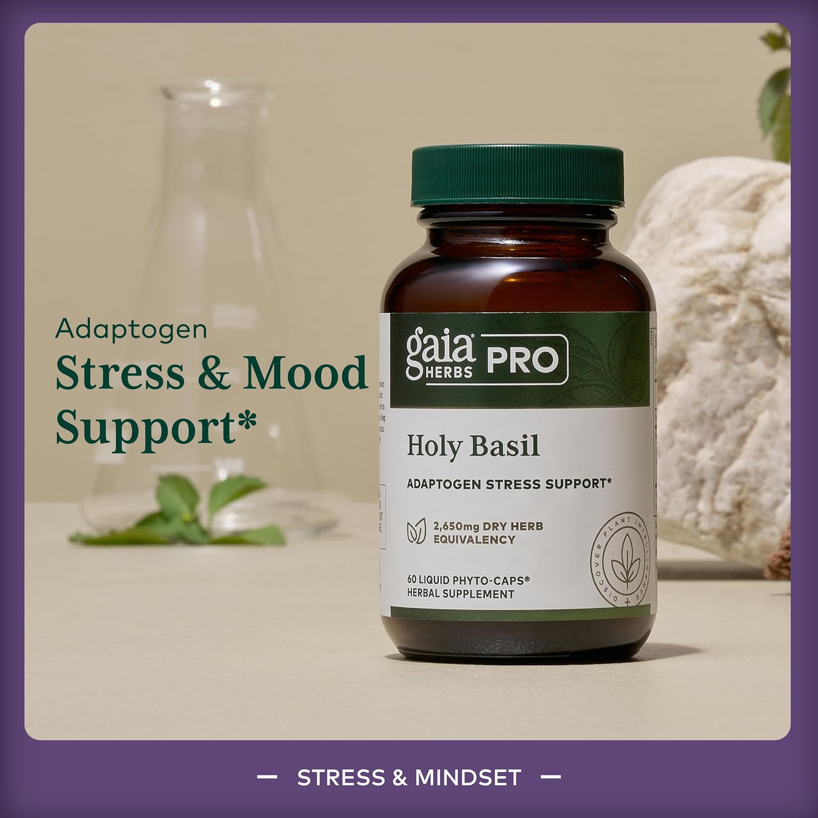 Vegan Holy Basil capsules for daily health