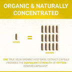 Vegan Holy Basil supplement for wellness