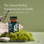 Vegan Holy Basil supplements Canada