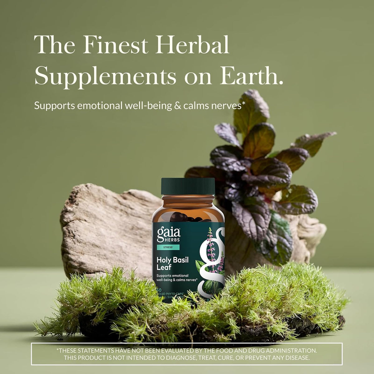 Vegan Holy Basil supplements for wellness
