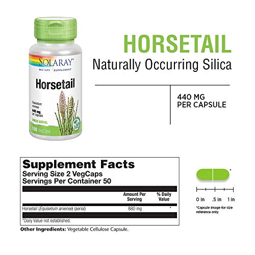Vegan horsetail capsules for men