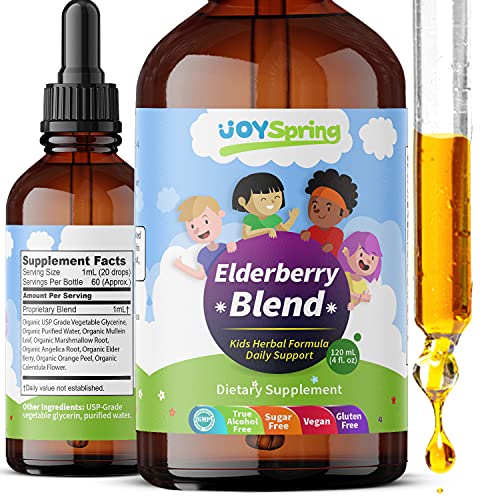 vegan immune booster elderberry syrup