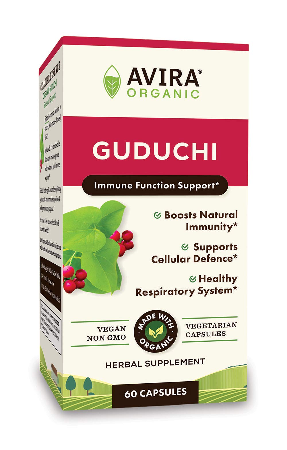 Vegan immune support herbal formula