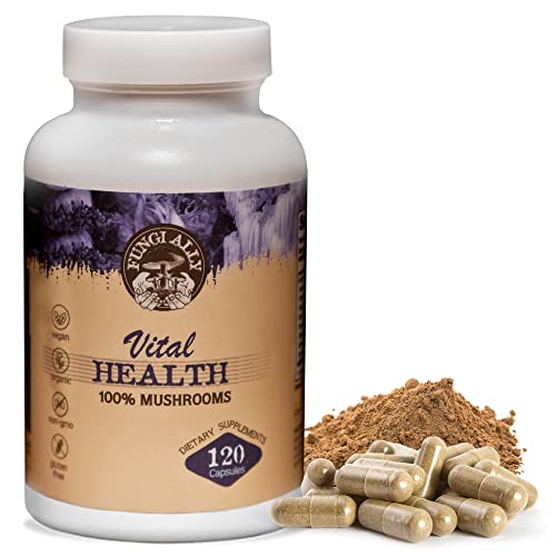 vegan immunity mushroom supplement