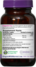 vegan iodine supplement for health
