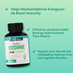 vegan iodine supplement for health