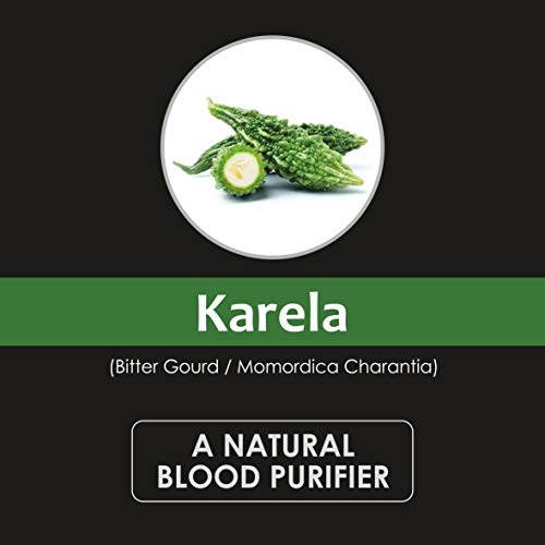 vegan karela powder for energy