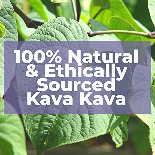 vegan kava kava capsules available
