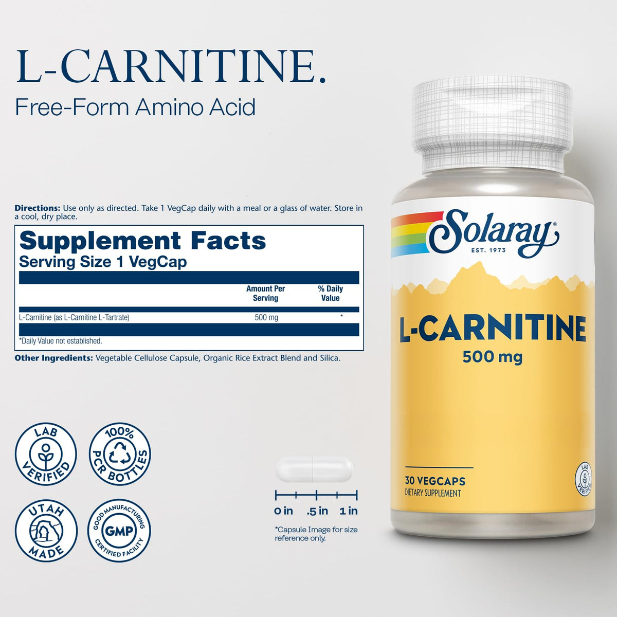 vegan L-Carnitine supplement for energy
