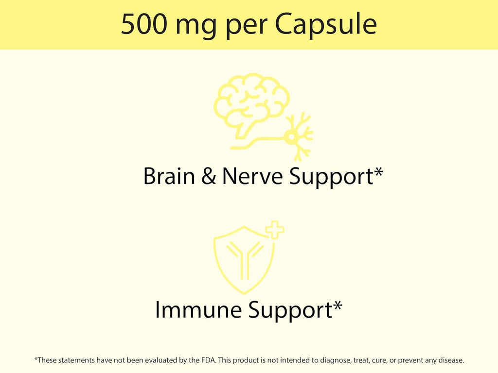 vegan lion's mane capsules for energy