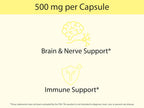 vegan lion's mane capsules for energy
