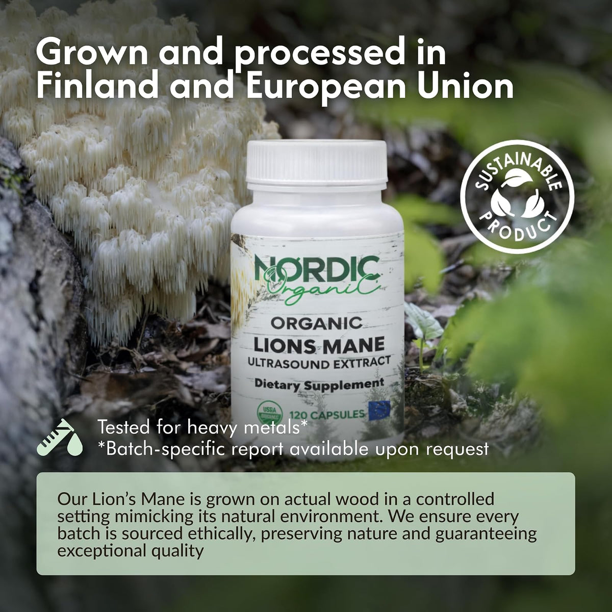 Vegan Lion's Mane dietary capsules