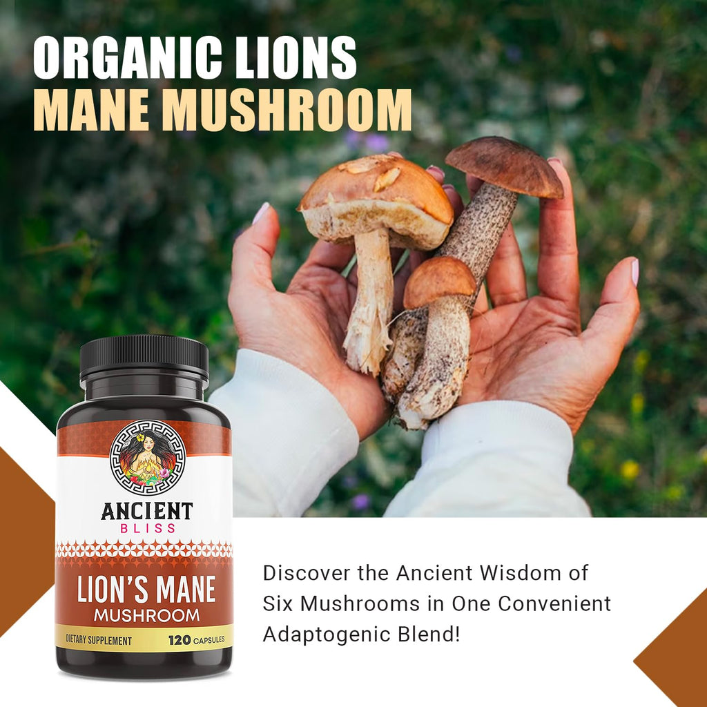 vegan lion's mane for brain health