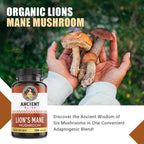 vegan lion's mane for brain health