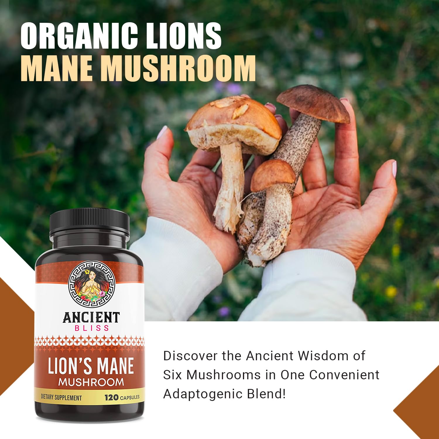 vegan lion's mane for brain health